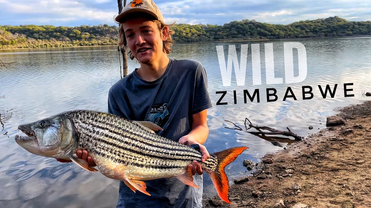 This Tiger Fish Was HUGE! Bank fishing in Zimbabwe 🇿🇼 (Lion and Buffalo ...