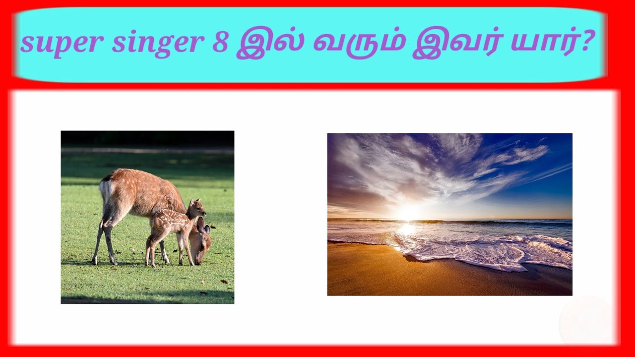 Super singer 8 contestant name quiz | Tamil connection game | vijay tv ...
