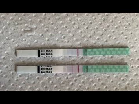 pregnancy test line progression, pregnancy test lines, pregnancy test ...