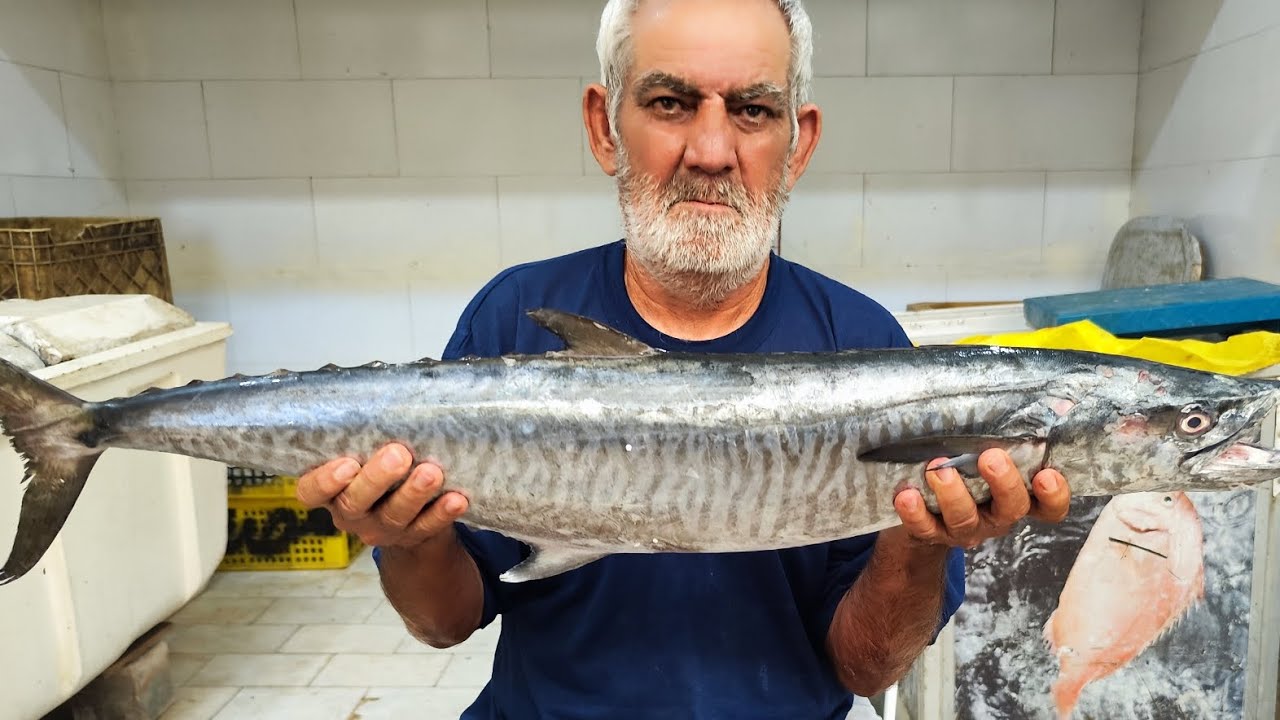 Bladeless cutting of the most Persian Gulf fish in Bushehr market//برش ...