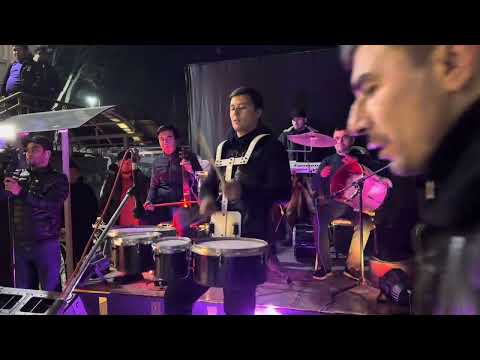 Dolya Vorovskaya “Skripka” ijrosida 🎻 #music #dolyavorovskaya #musofir