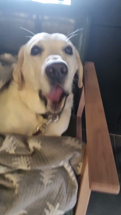 2024년 11월 10일 - YouTube