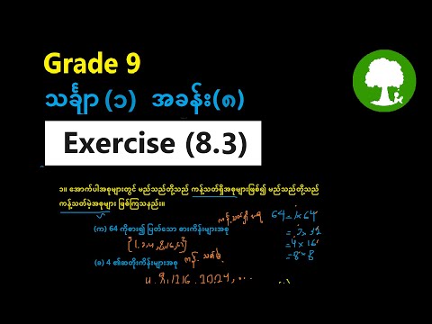 Grade 9 Mathematics 1 Chapter 8 Exercise (8.3) | Yinn Academy