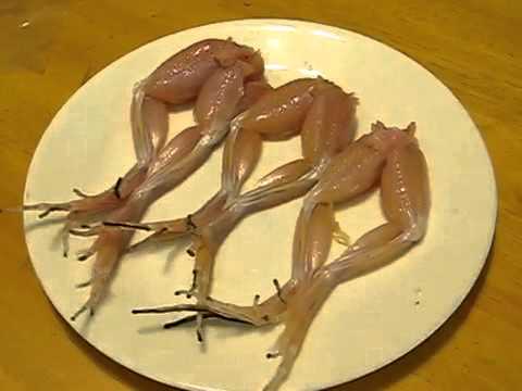 Dead frogs legs dancing after applying little salt. too scary and creapy!! - YouTube