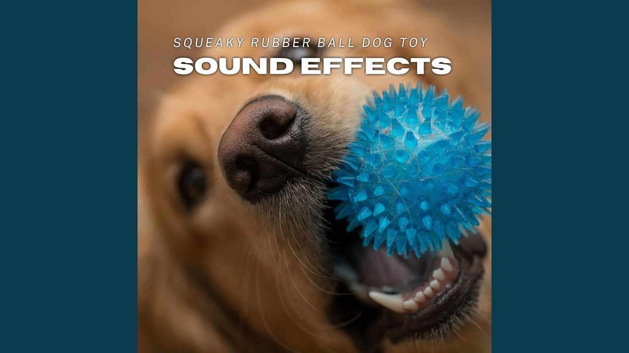 Squeaky Rubber Ball Dog Toy Sound Effects - YouTube