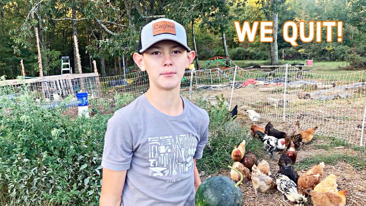 Why We QUIT Moving Chickens Daily! - YouTube