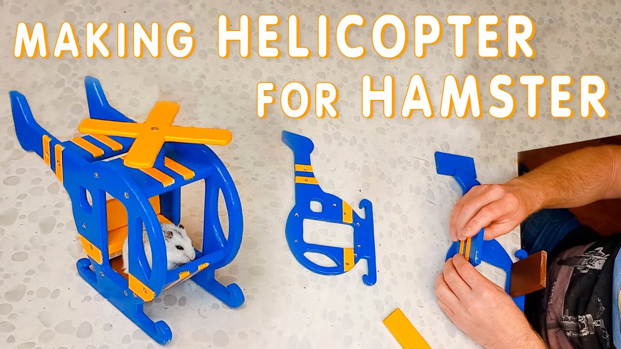 HELICOPTER for HAMSTER - YouTube