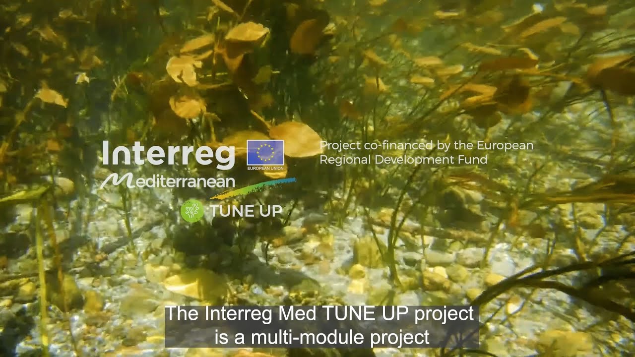 Environmental contracts: examples of good practices / AQUAPROGRAM s.r.l ...