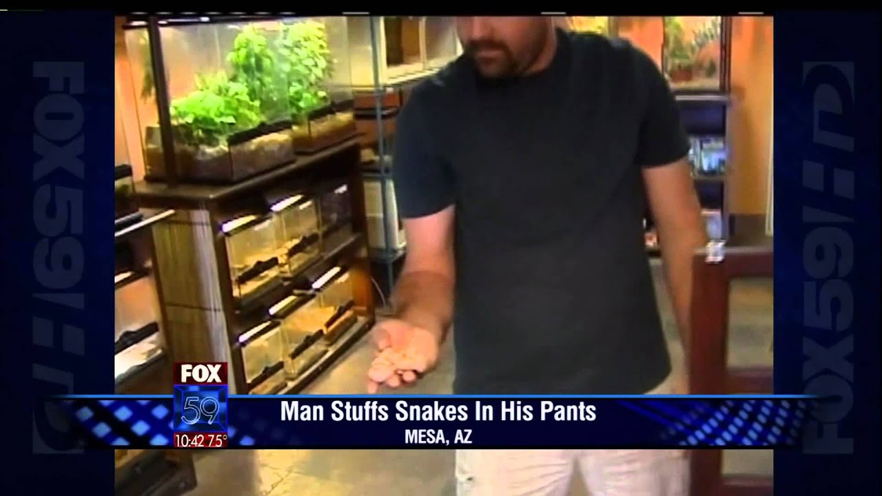 Caught on Tape - Snake Thief! 2011 - YouTube