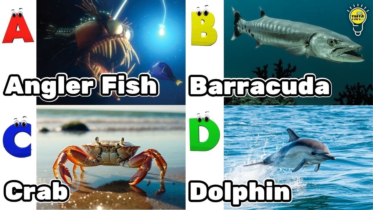 ABC Sea Animals song | Learn Alphabets | English and Animals for Kids ...
