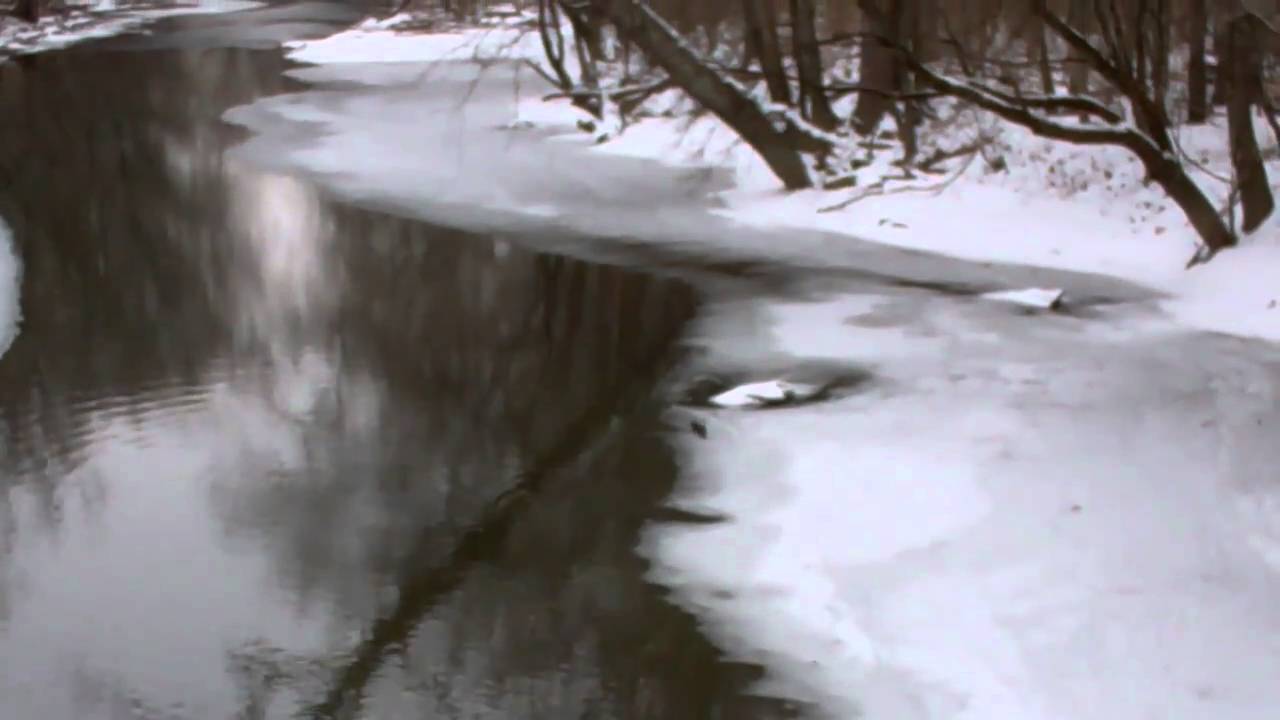 MInk walking on ice on Big Darby Creek - YouTube