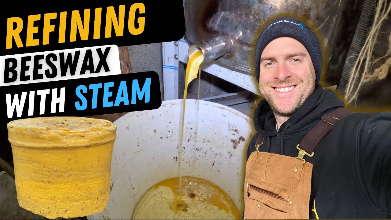 Refining Beeswax With A Steam Wax Melter - YouTube
