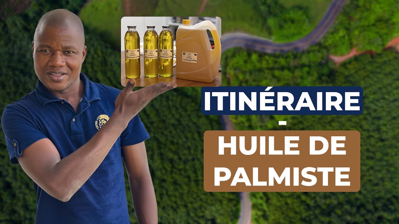Découvrez notre Huile de Palmiste ! Guide d'Achat et Itinéraire Vers ...