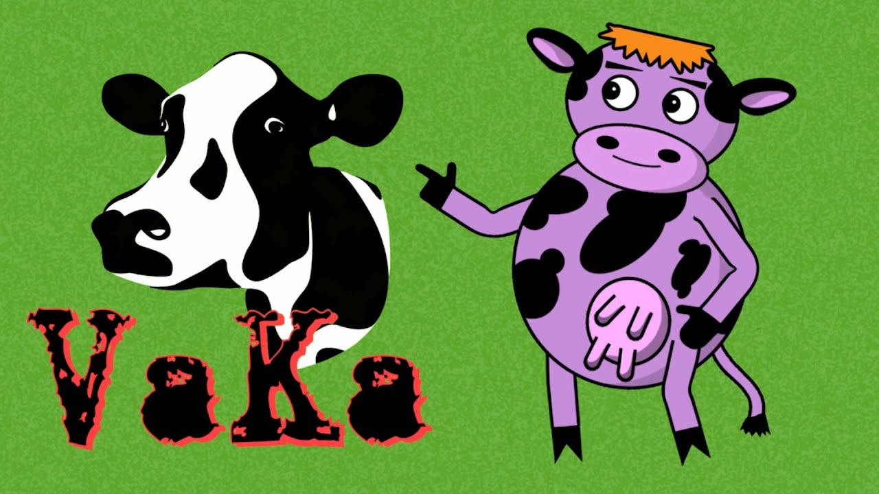 Somos VaKa - YouTube