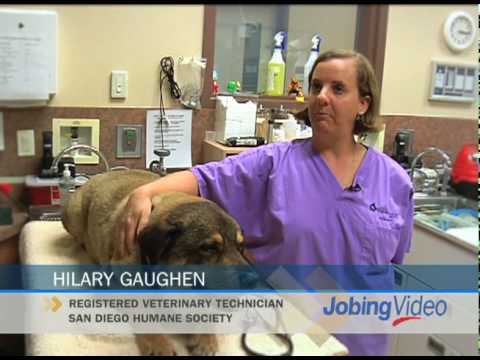 San Diego Humane Society | SPCA Jobs In San Diego - YouTube