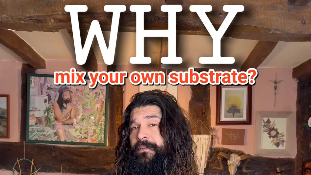 Why mix your own substrate? - YouTube