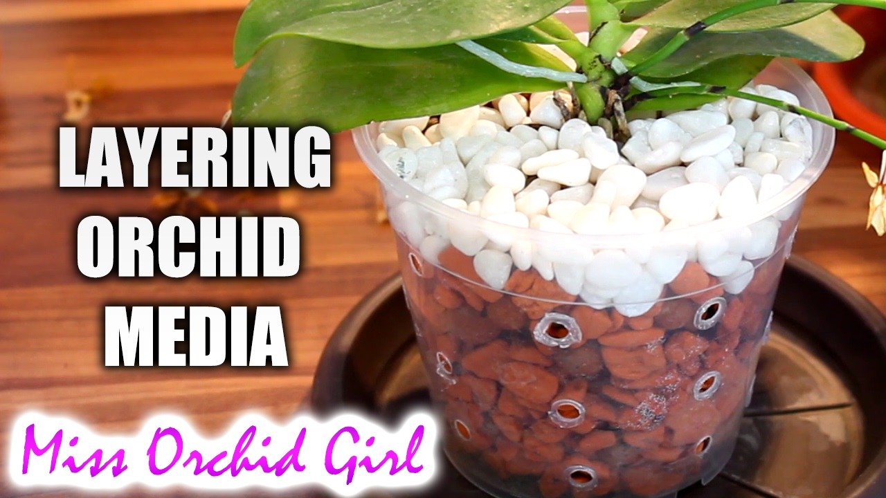 The problem with layered Orchid media - YouTube