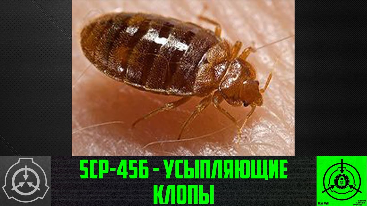 SCP 456 YouTube scp-456-youtube