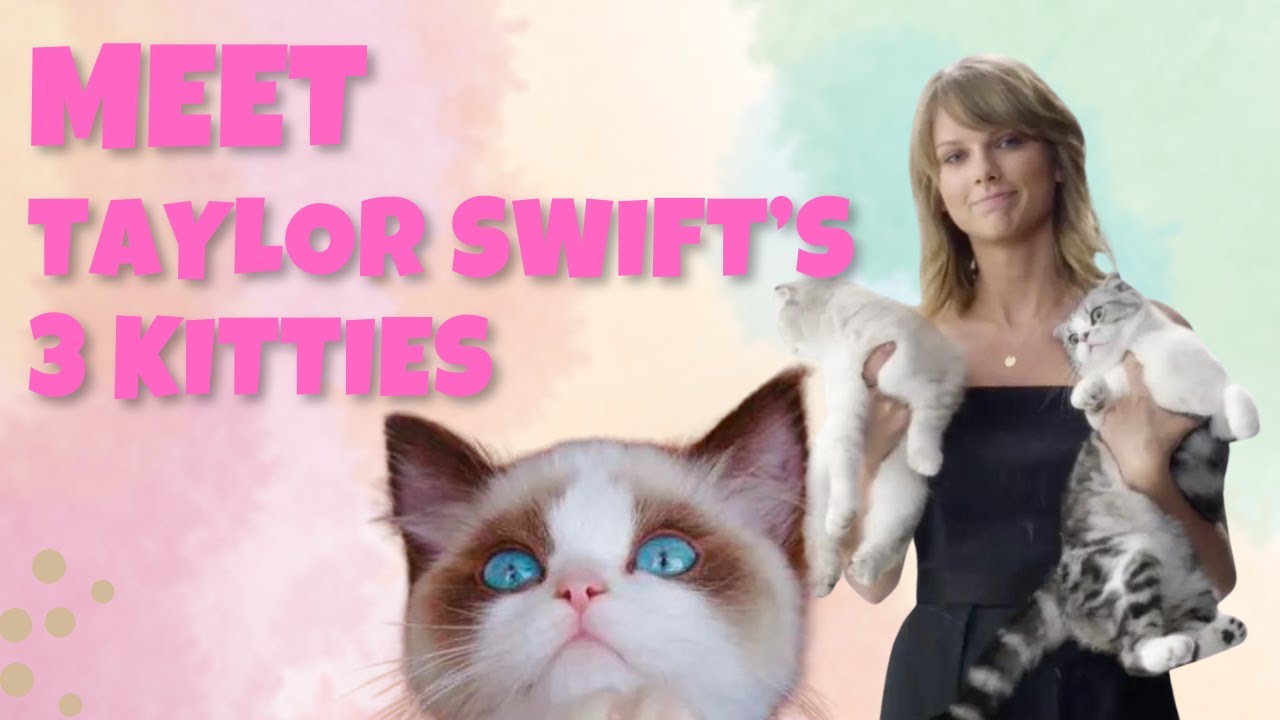 Meet Taylor Swift's 3 Adorable Cats, Olivia, Benjamin & Meredith - YouTube