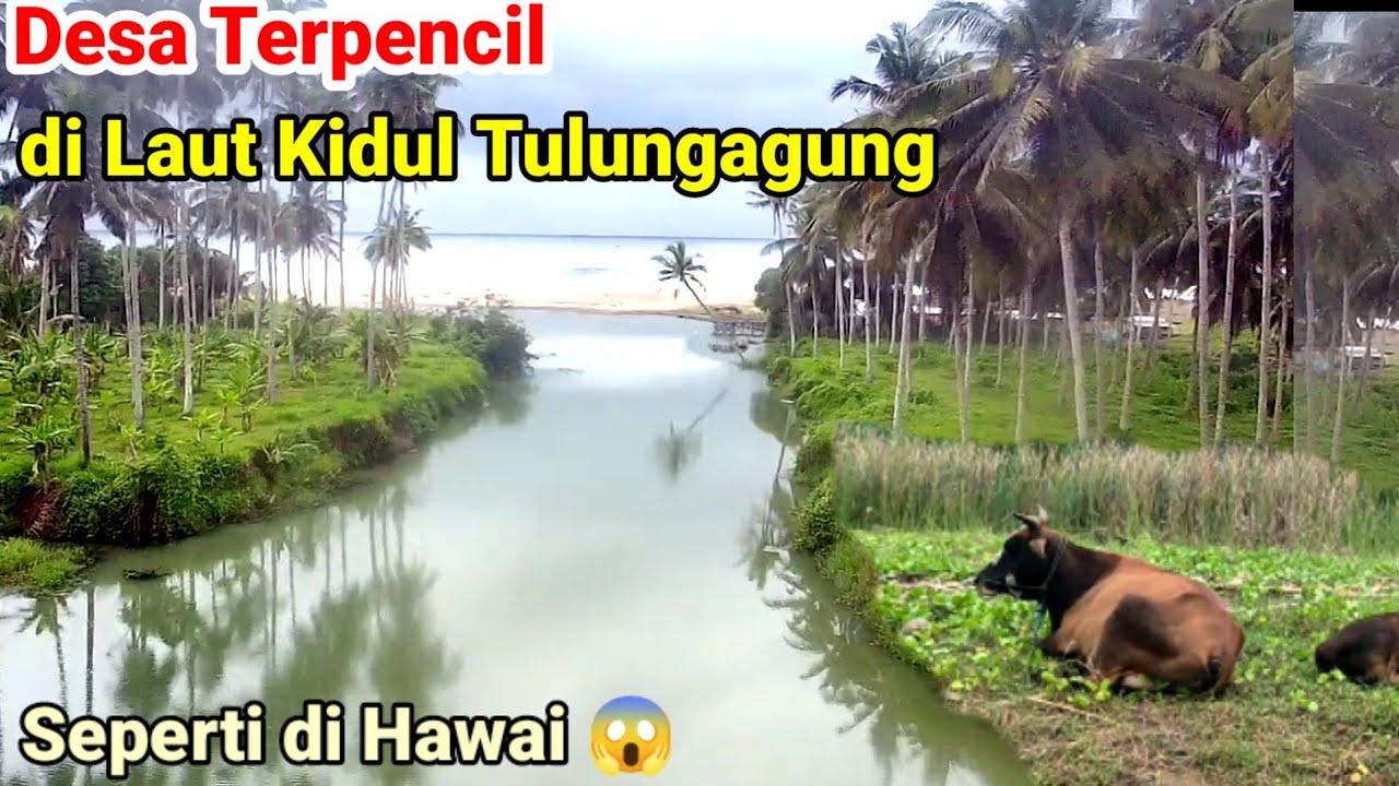 Viral Pantai Tersembunyi di JLS Sine Tulungagung | Pantai Dlodo - YouTube