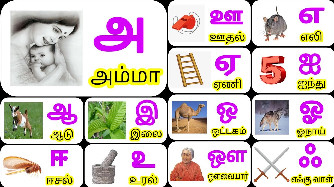 Uyir Ezhuthukal || Learn tamil alphabets || உயிர் எழுத்துகள் ...