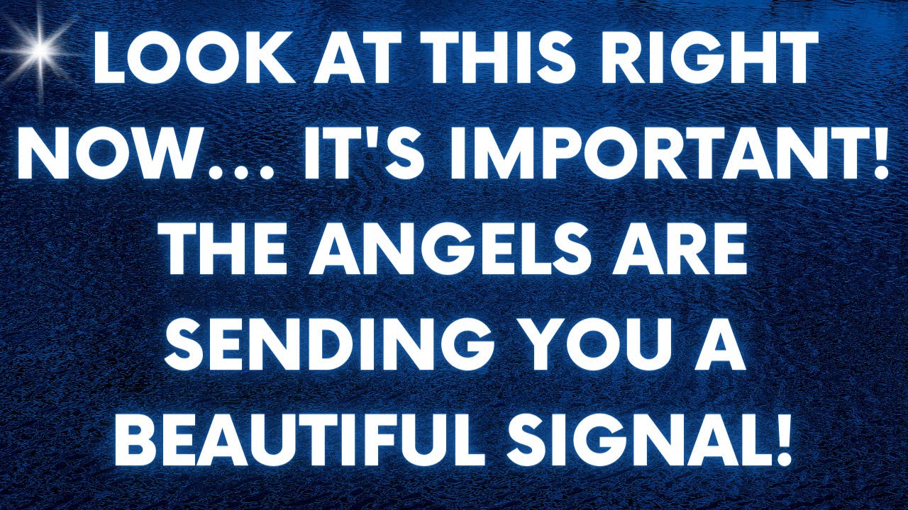 🕊Positive Messages For You - Beautiful Signs from Angels - A Message of ...