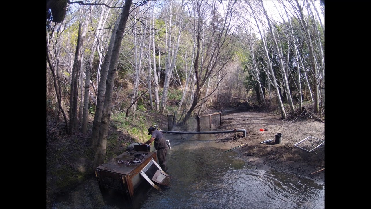 Willow Creek Smolt Trap Install Timelapse 2018 - YouTube