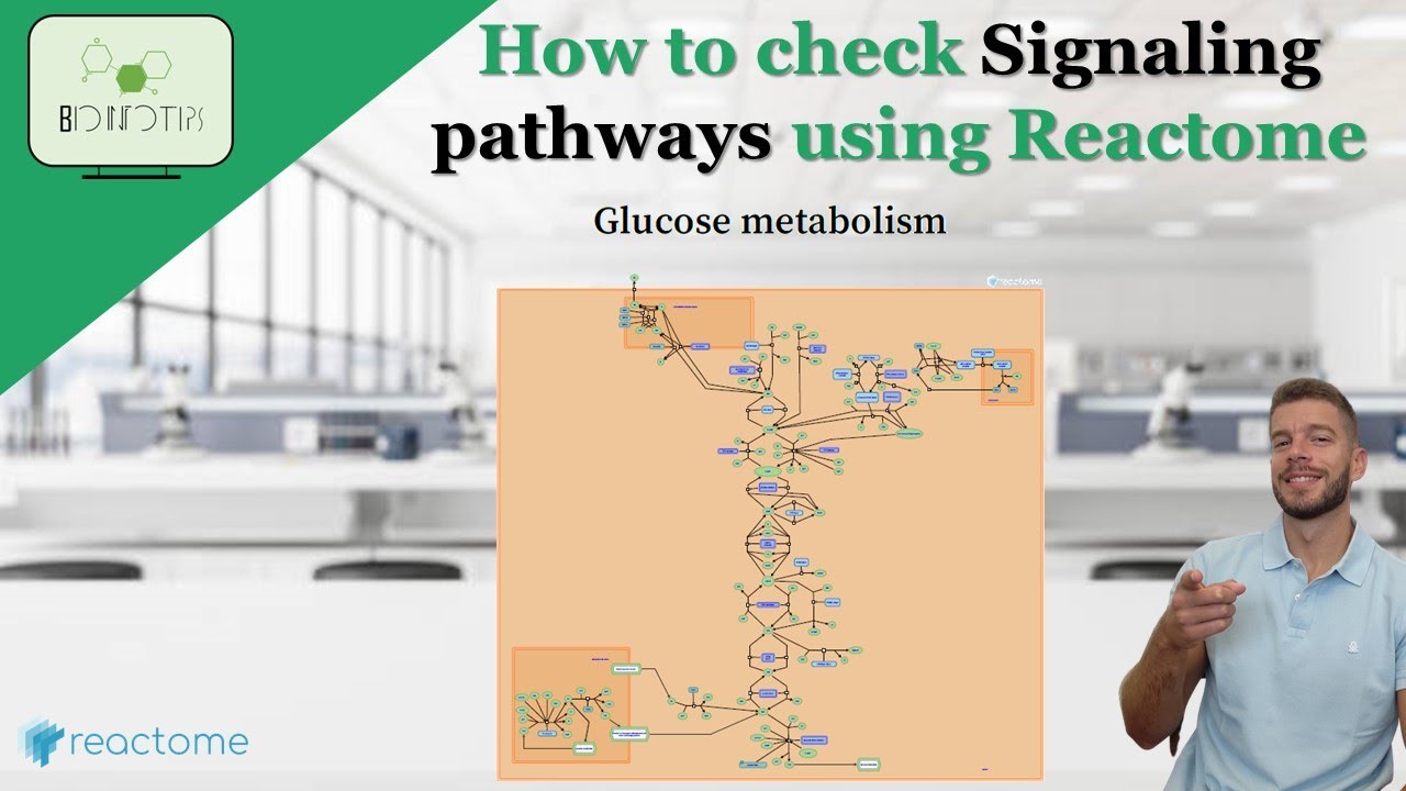 How to check Signaling pathways using Reactome #signaling #pathway #reactome #bioinformatics ...