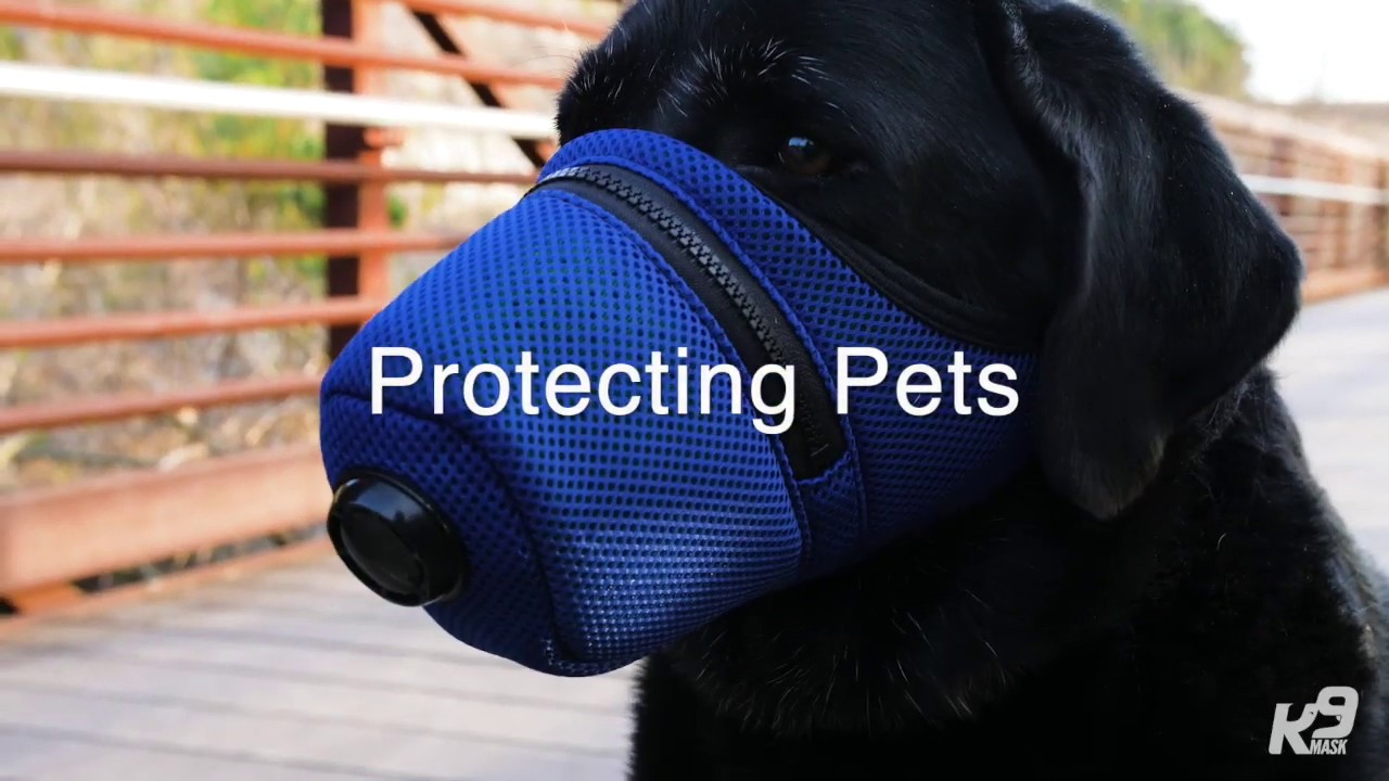 K9 Mask Air Filter for Dogs - YouTube
