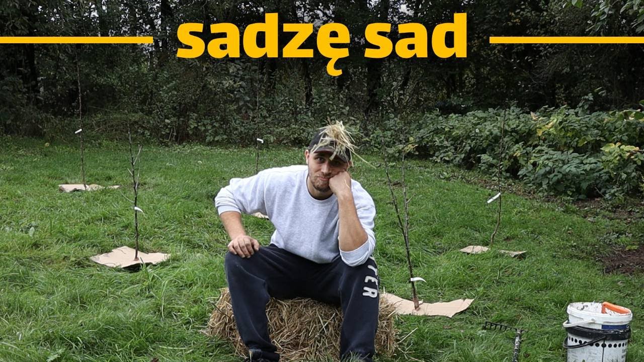 Posadziłem sad przy swoim domu - YouTube