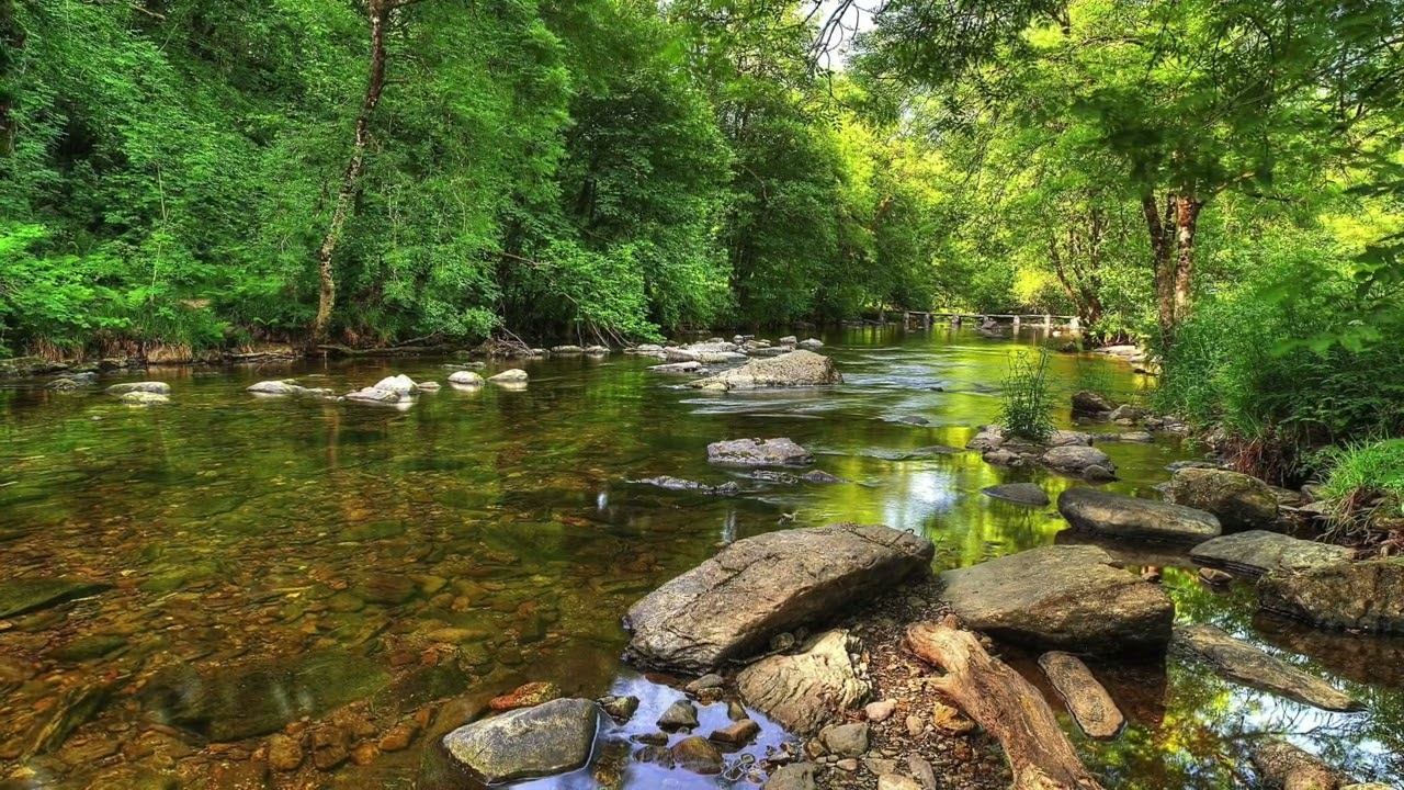 Meditation music & river sound, zen, meditation, calmness, stress ...