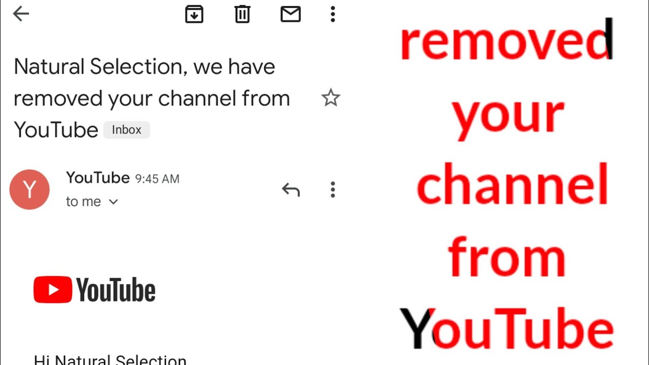 we have removed your channel from YouTube / why our youtube channel ...