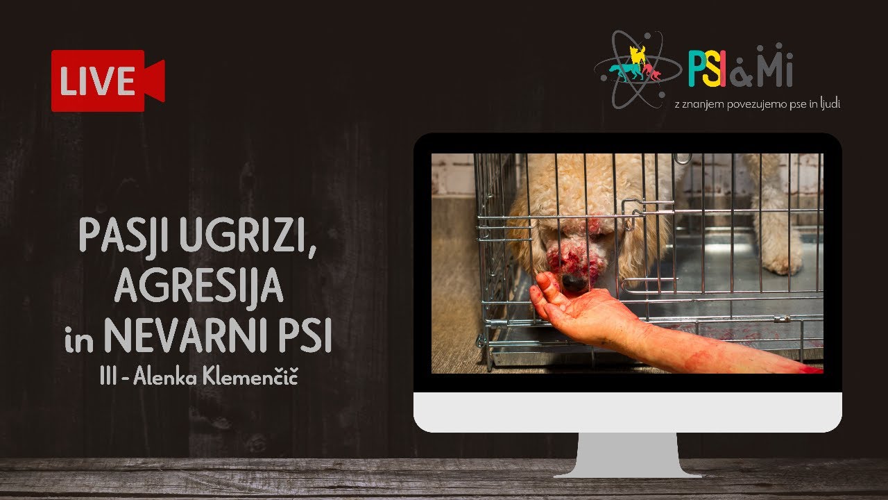Pasji ugrizi, agresija in nevarni psi III - Alenka Klemenčič - YouTube