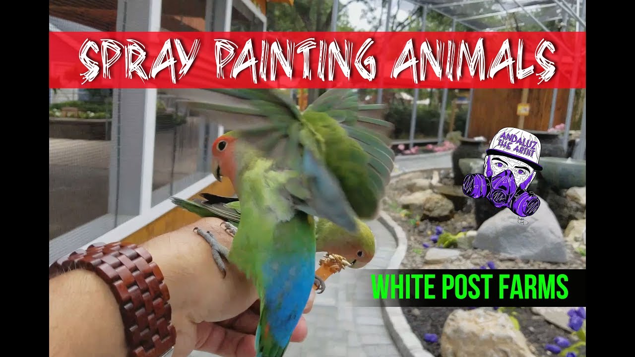 Custom Spray Painting Animals (White Post Farms) - YouTube