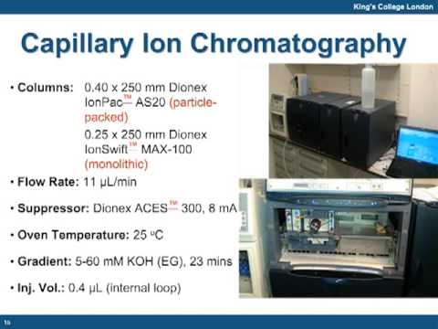 Getting Maximum Information from Small Samples—How Capillary IC ...