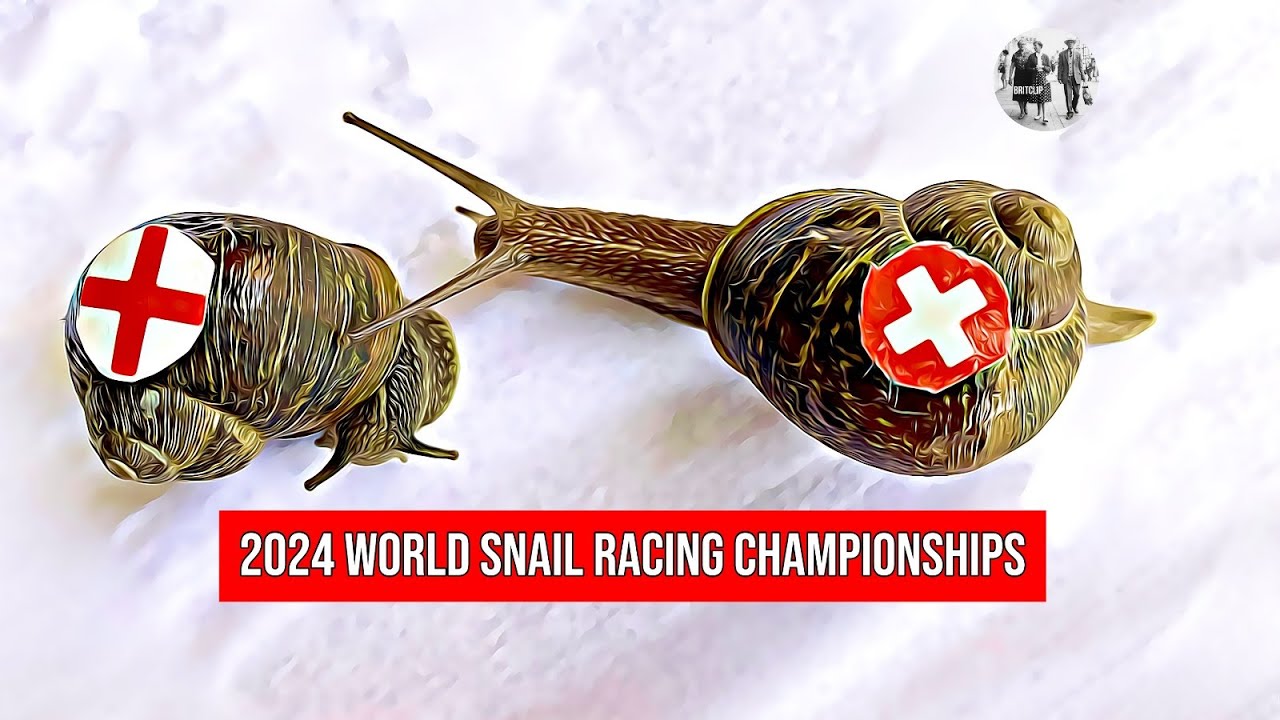 The World Snail Racing Championships 2024 - YouTube