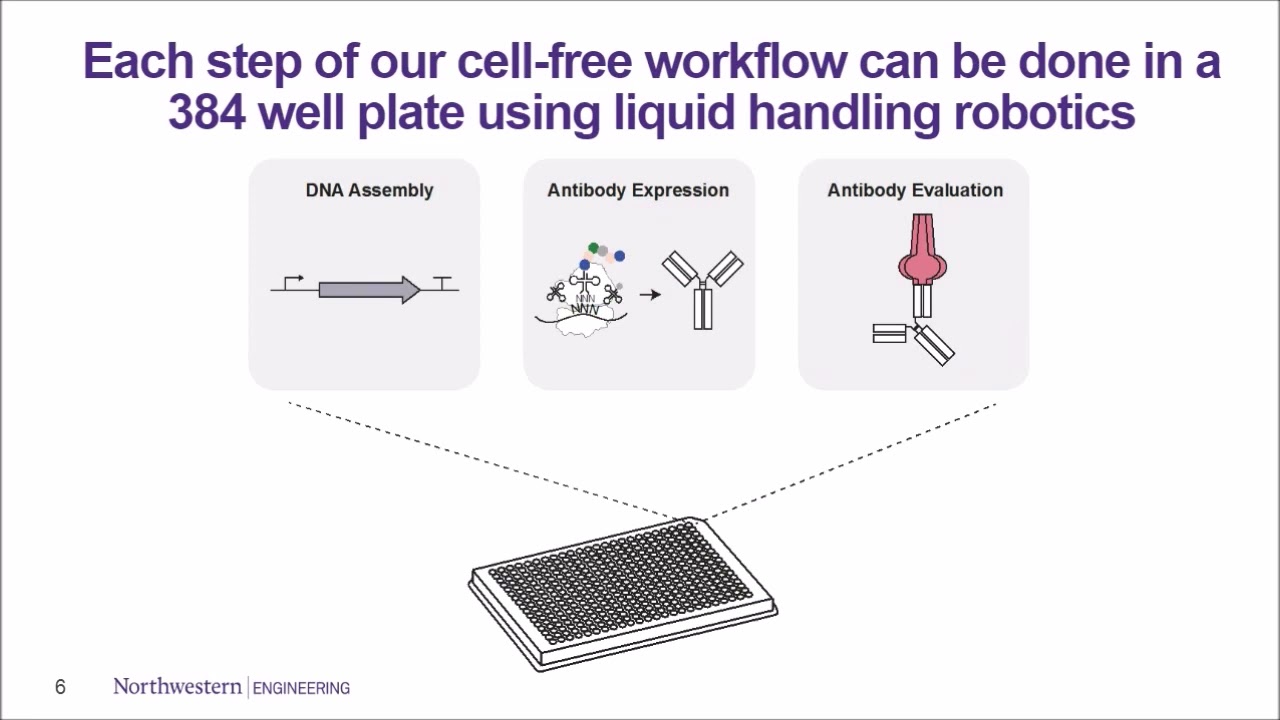 Accelerating Antibody Discovery with Cell Free Protein Synthesis and ...