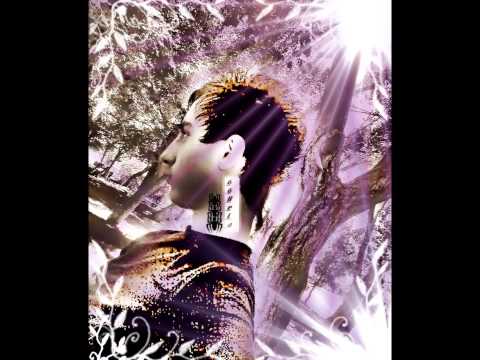 2013  Darbe Tam Record  66 bela darbe 40 Kırşehir - Kaman