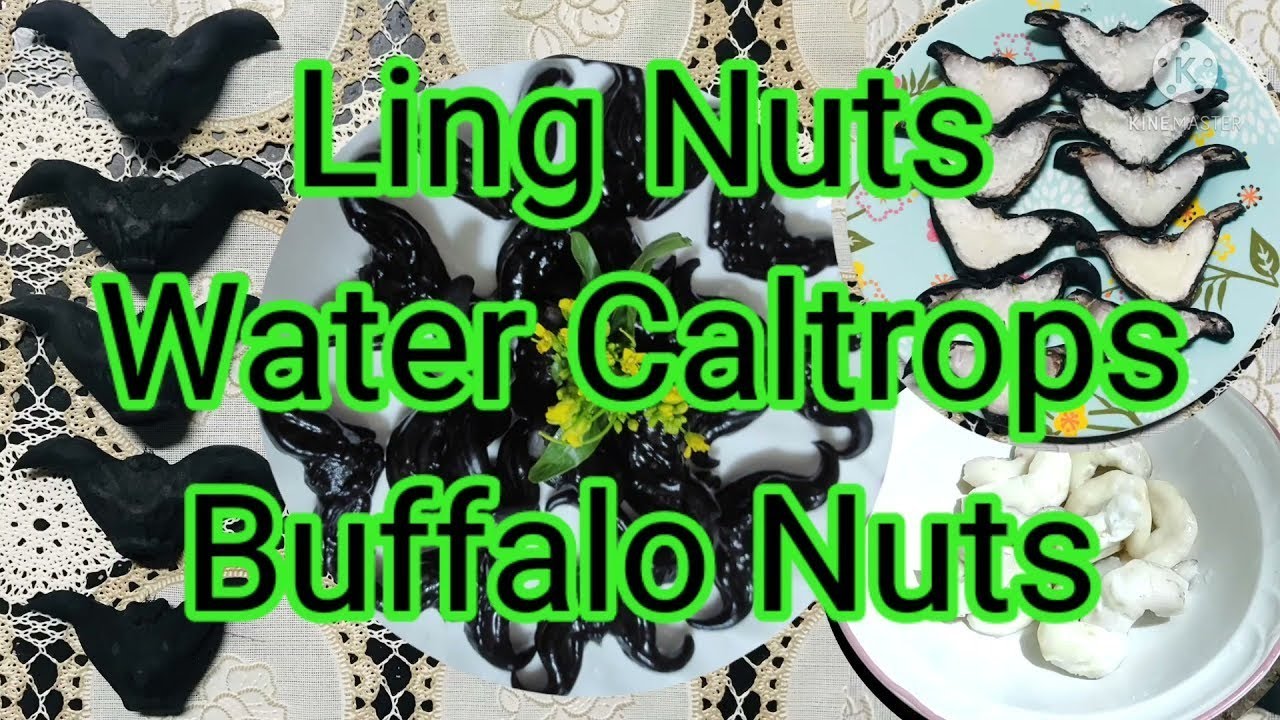 How Peel And Cook Water Caltrops/Ling Nuts - YouTube