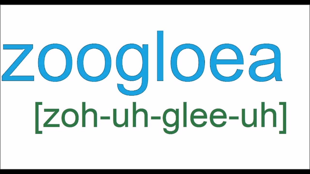 How To Pronounce ZOOGLOEA - YouTube