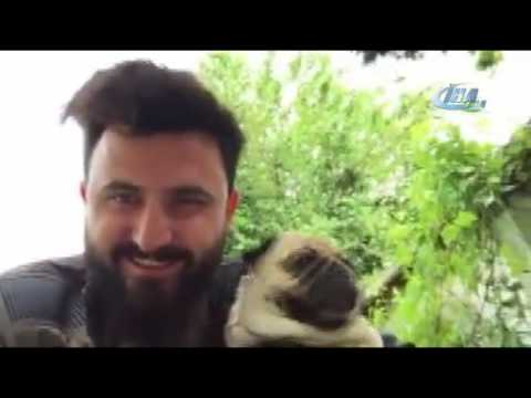 Sosyal medya bu köpeği konuştu