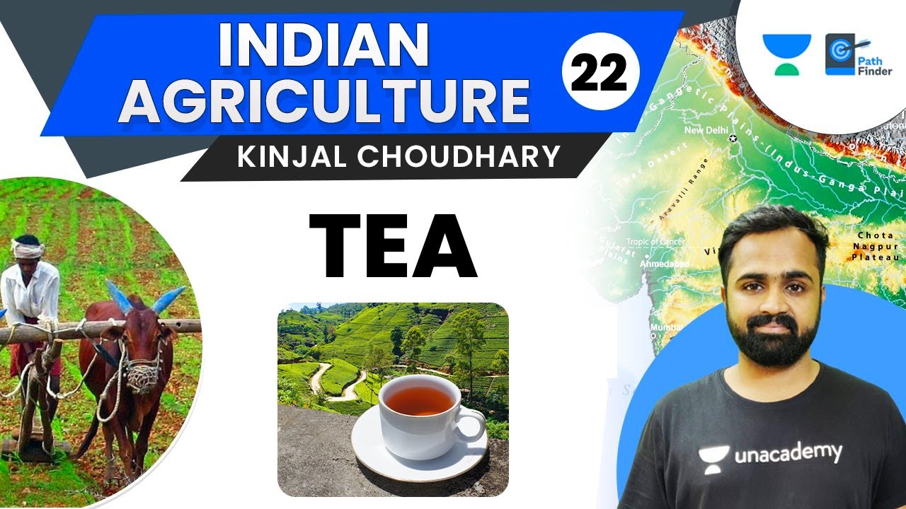 L22: Cash Crops Of India - Tea | Climatic Conditions | Winter Dormancy ...