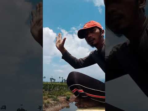 Sp walet penakluk
