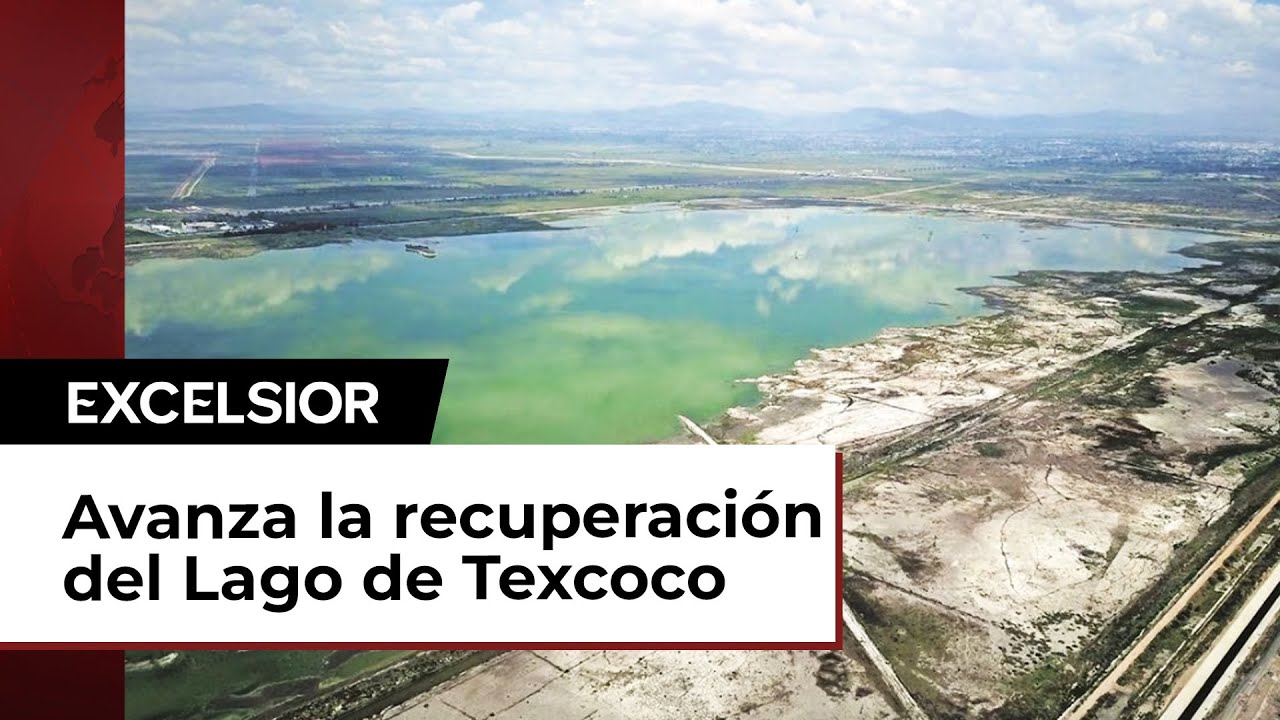 Lago de Texcoco vuelva a cobrar vida - YouTube