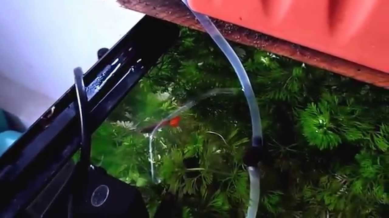 overhead sump - YouTube