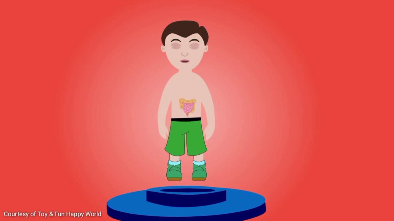 Week 6- Recognize symmetry (Body parts) - YouTube