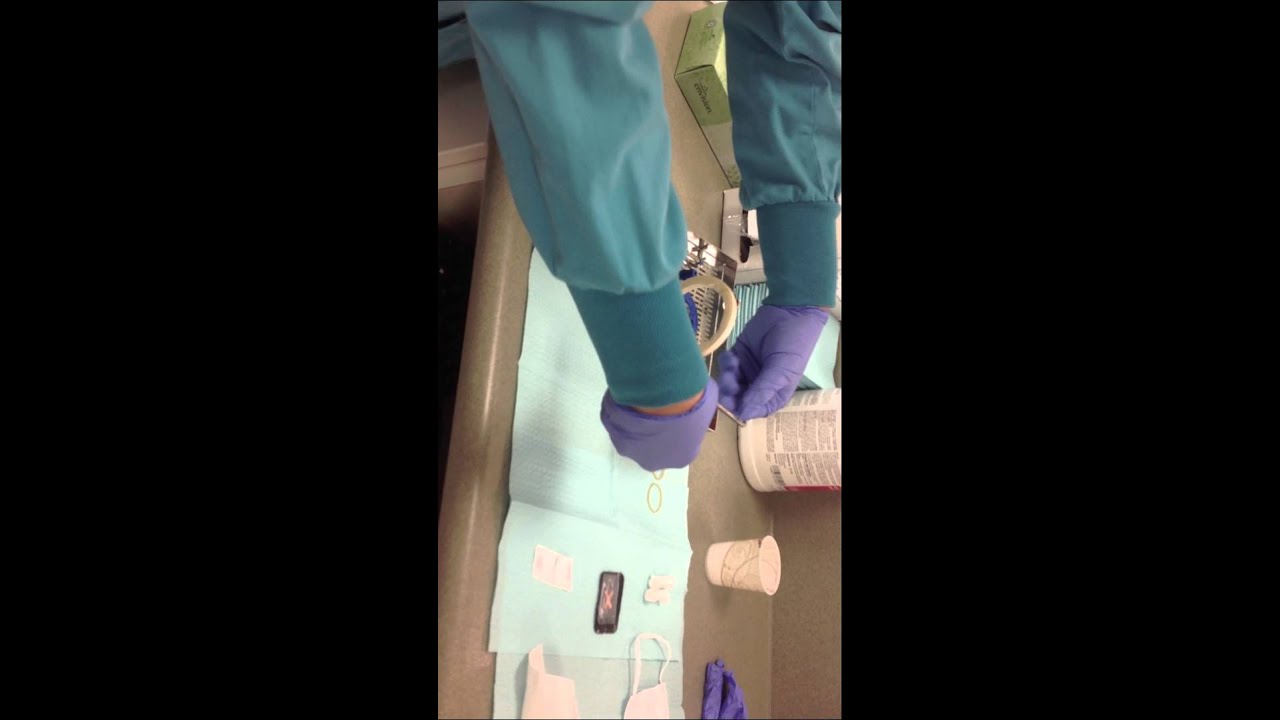 maxillary premolar periapical radiograph - YouTube