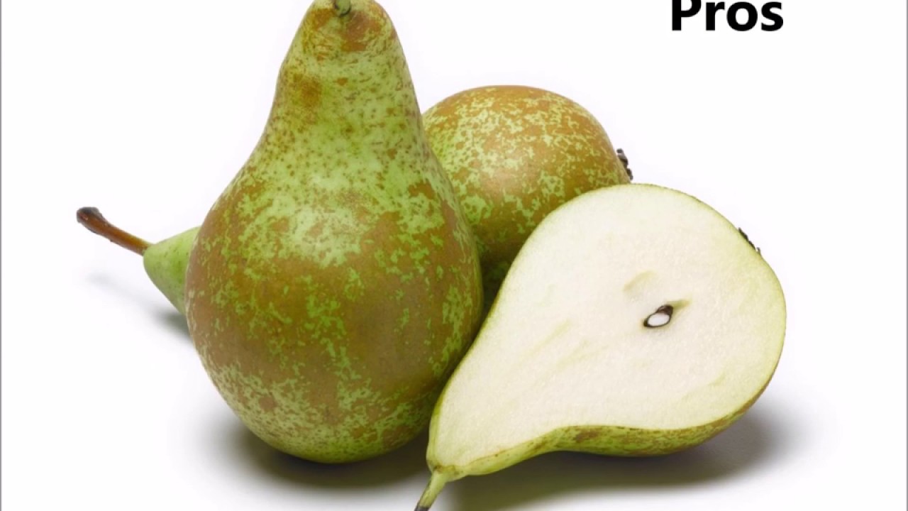 Franco-Provençal - Fruits - YouTube