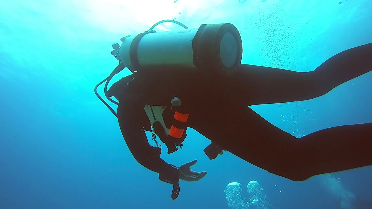 Scuba Diving Belize. 2-14-19. Angel Fish Wall. Light House Reef. 73ft ...
