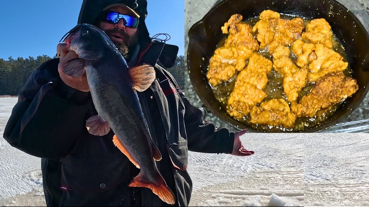 Catfish Ice Fishing CATCH AND COOK - YouTube